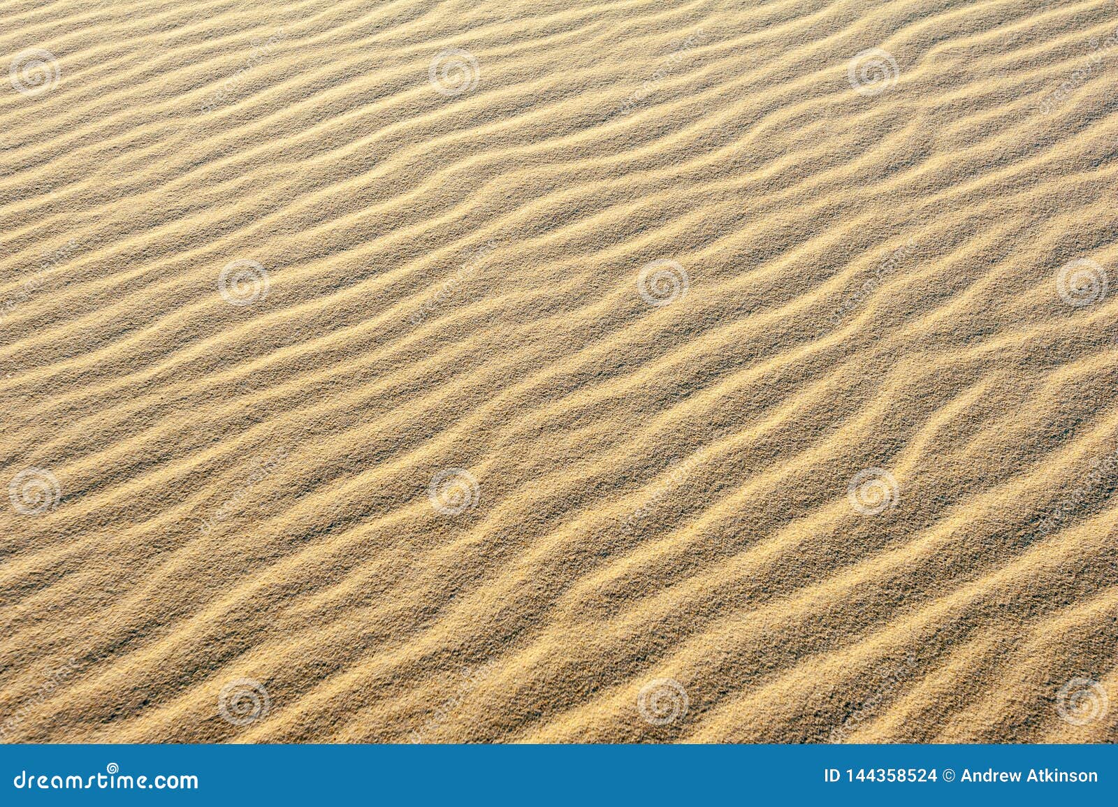Ripples in the Sand Create Patterns and Textures in the Sand Dunes ...