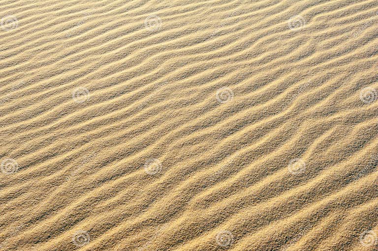 Ripples in the Sand Create Patterns and Textures in the Sand Dunes ...