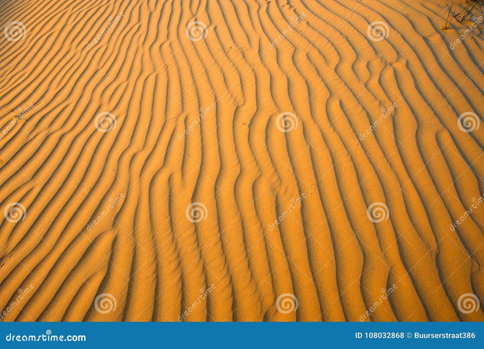 Ripples in sand in desert stock photo. Image of drought - 108032868