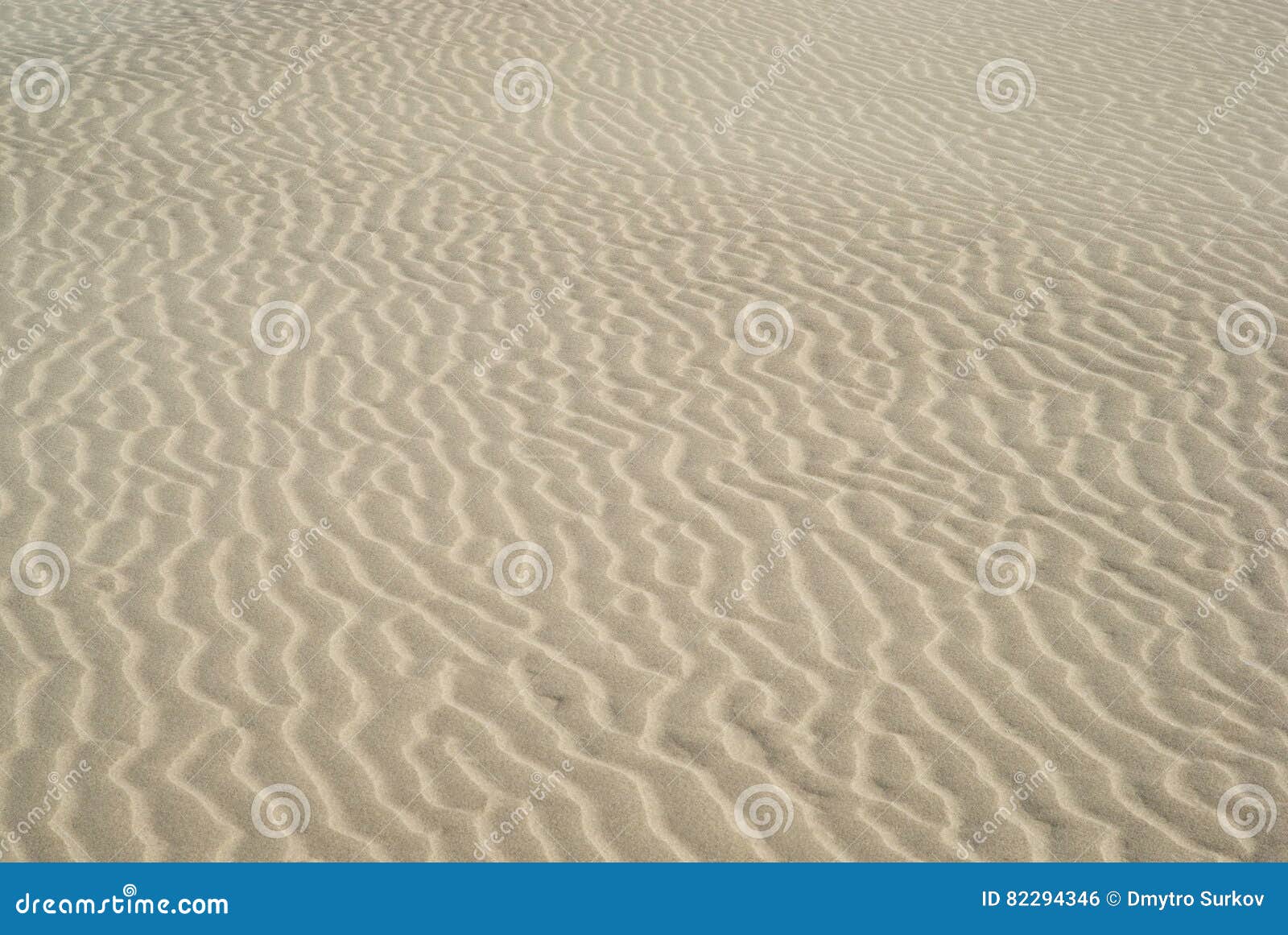 Ripples in sand dunes stock photo. Image of sandy, golden - 82294346