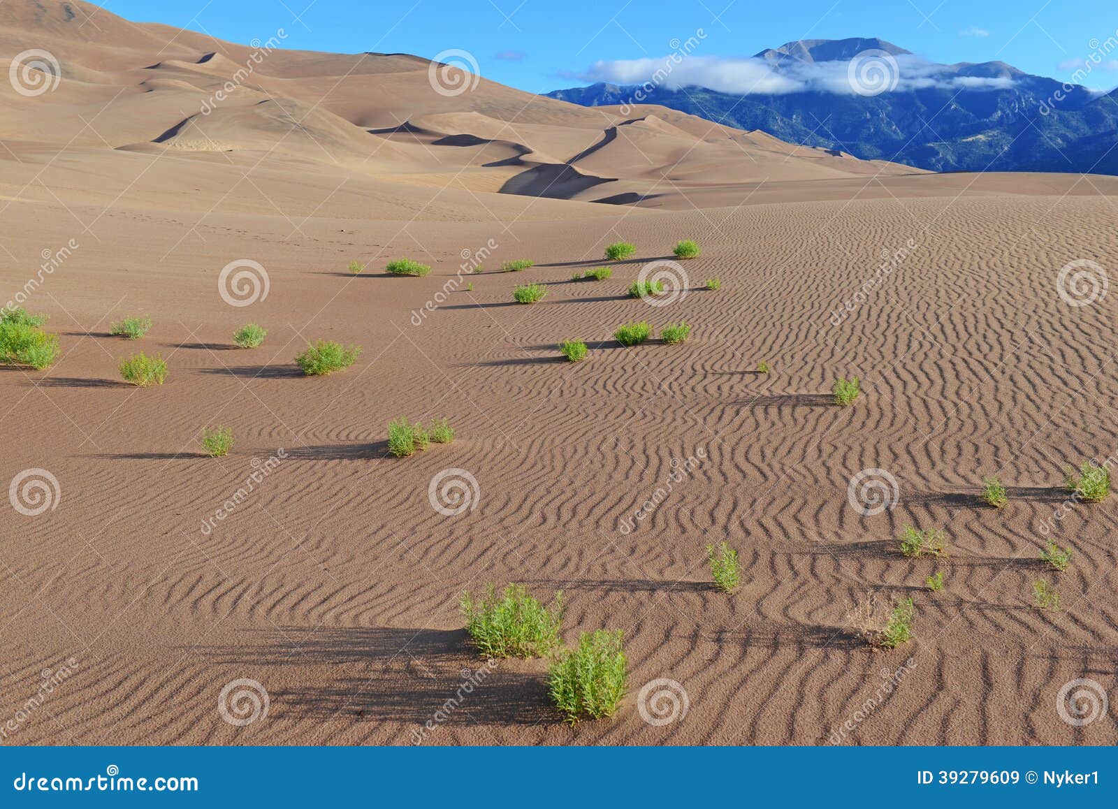 Ripples in Sand Dunes and Mountains Stock Image - Image of family ...