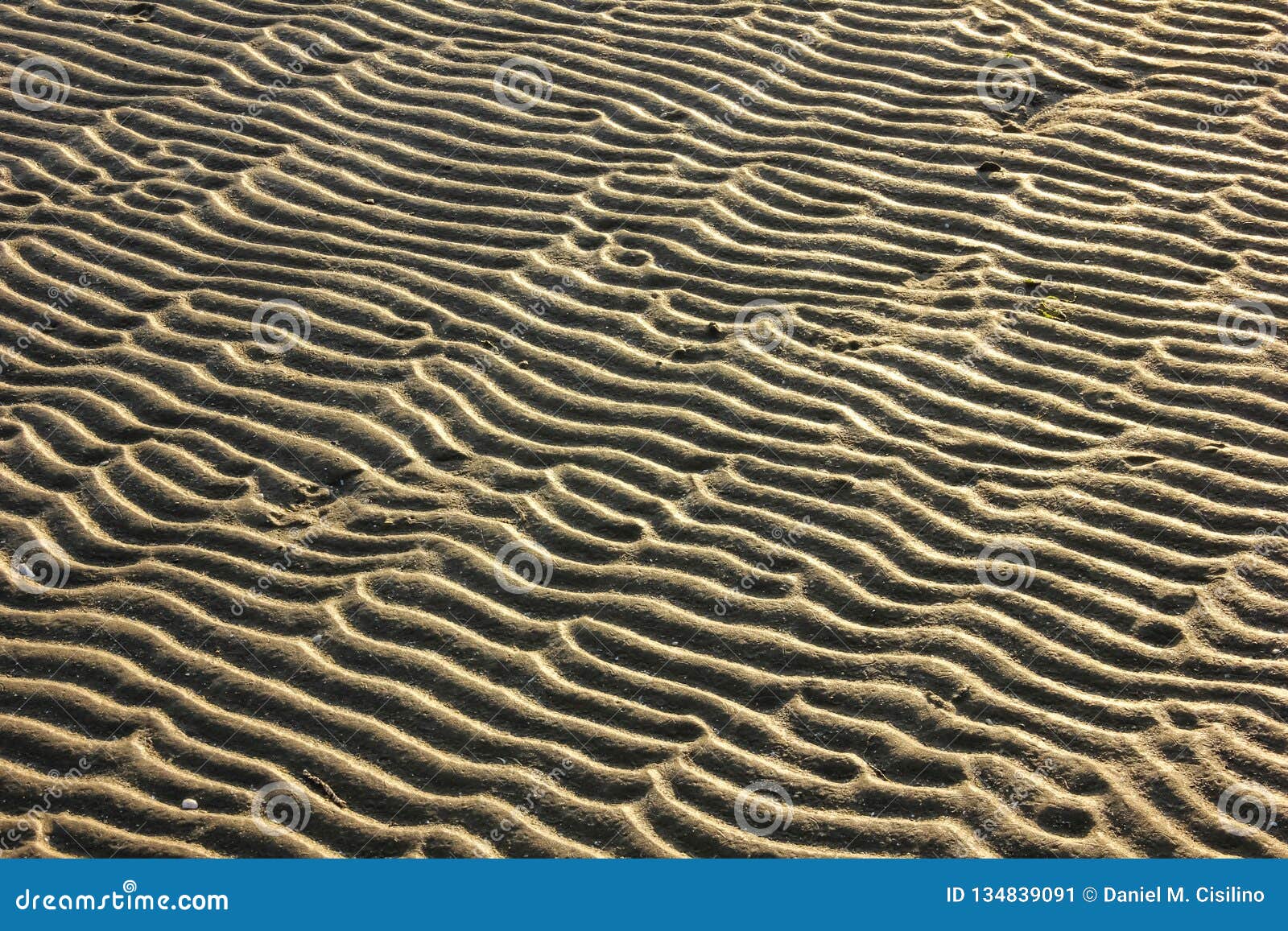 Ripples in the sand. stock image. Image of natural, dirt - 134839091