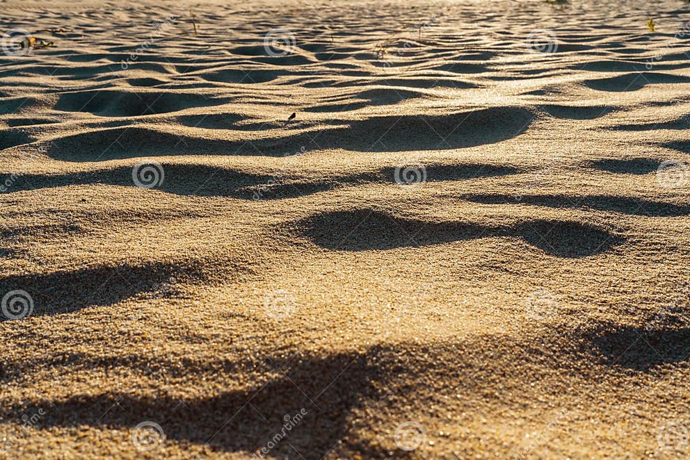 Ripples of Sand Shaped by Wind and Light at the Shoreline Stock Image ...