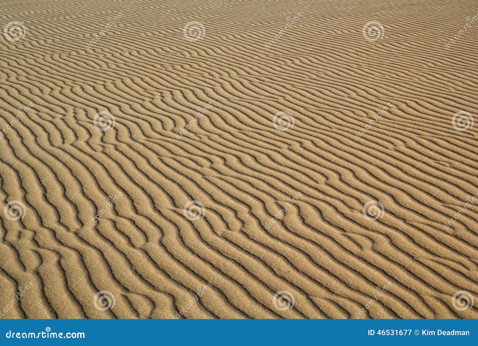 Ripples in sand stock image. Image of grains, wave, yellow - 46531677
