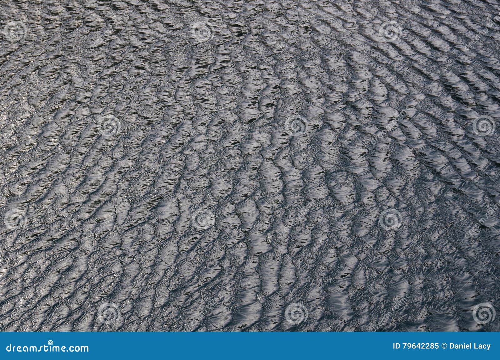 Ripples on the Sea Caused by Strong Gust of Wind Stock Image - Image of ...