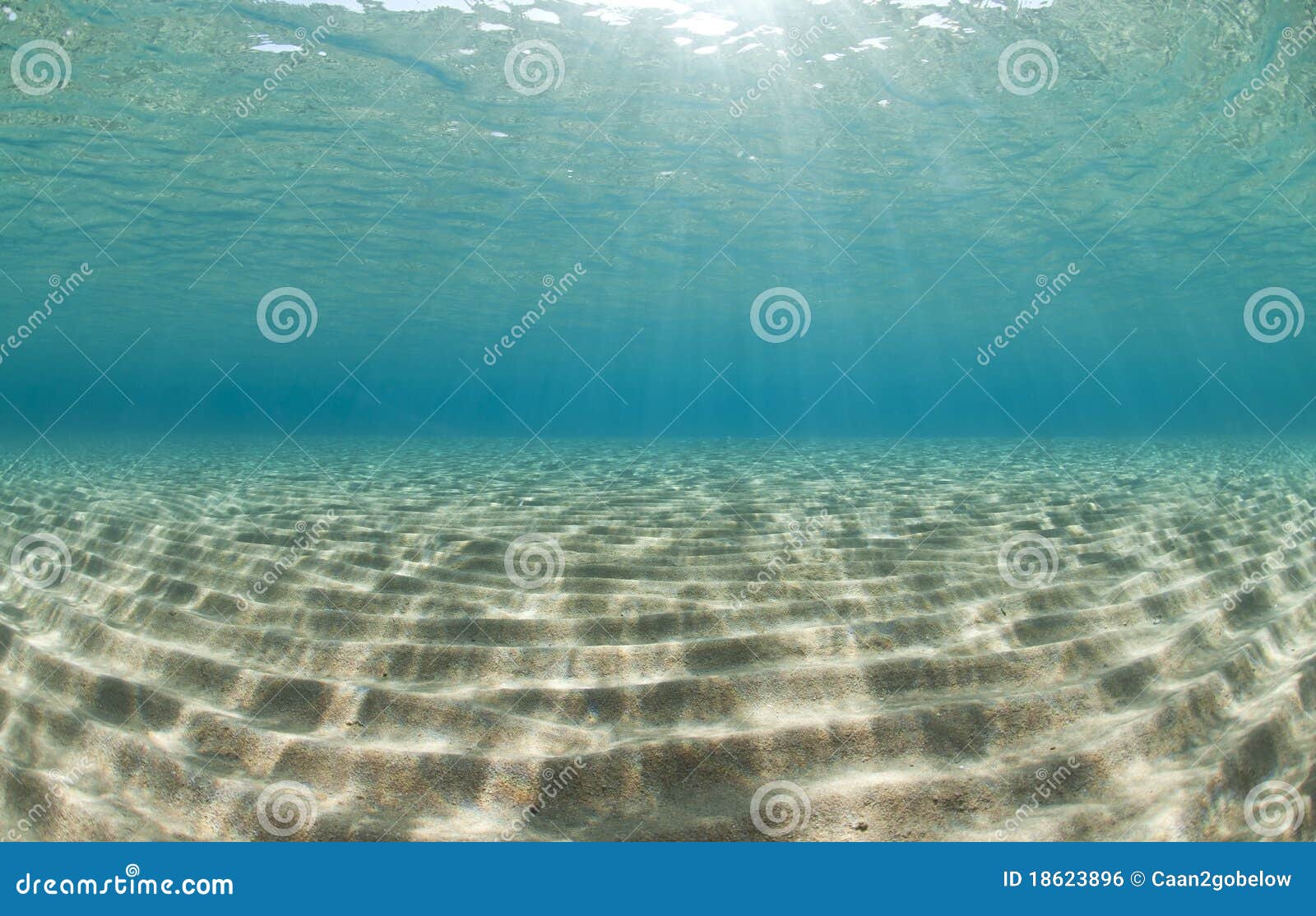 Ocean Floor Underwater Stock Photography | CartoonDealer.com #65636636