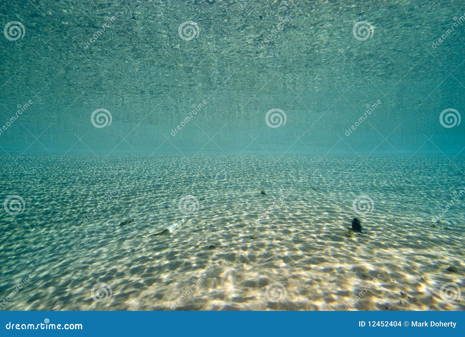 Ripples of Sunlight Underwater Stock Photo - Image of lagoons, angle ...