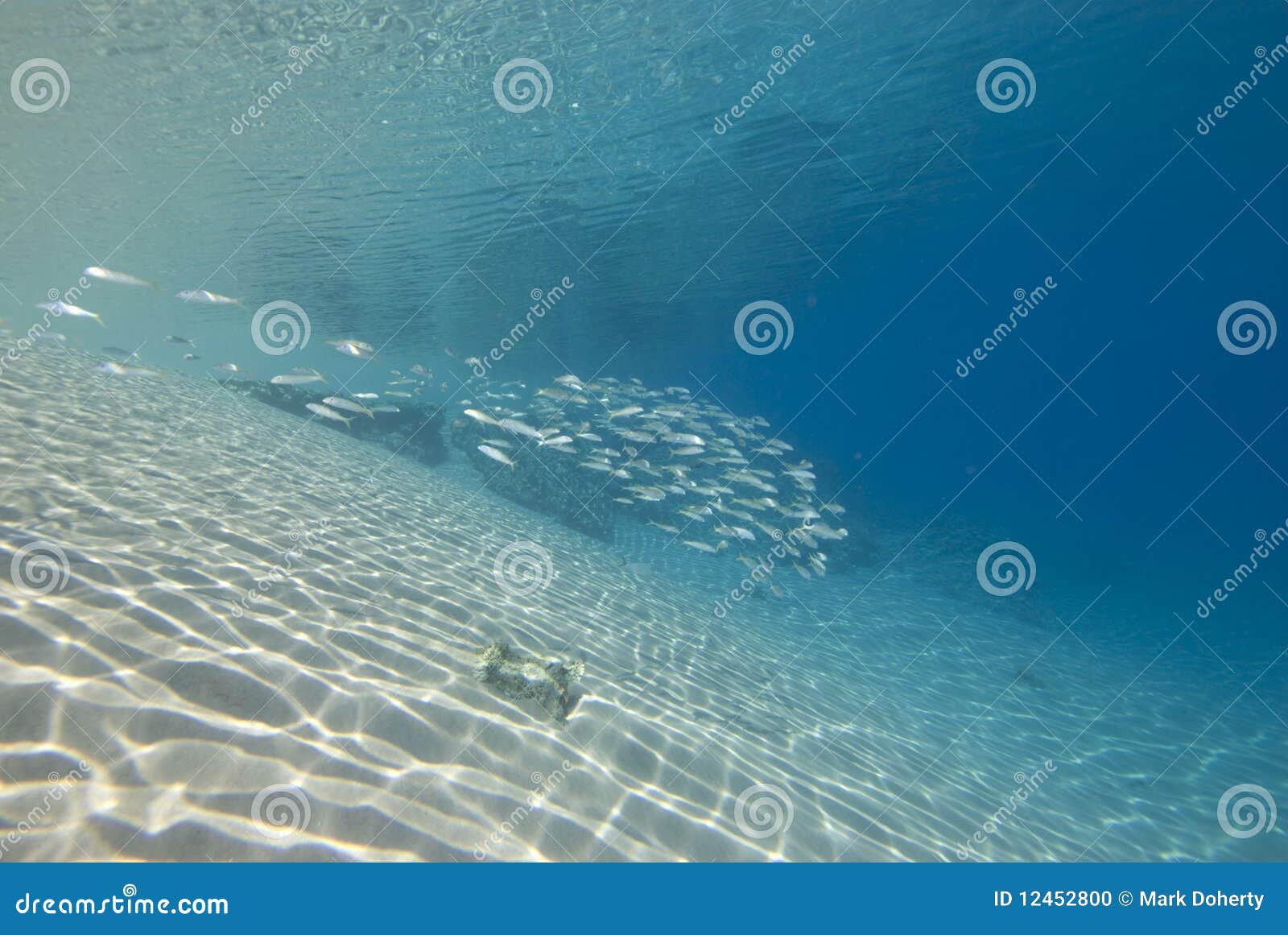 Ripples of Sunlight Underwater Stock Photo - Image of lagoons, natural ...