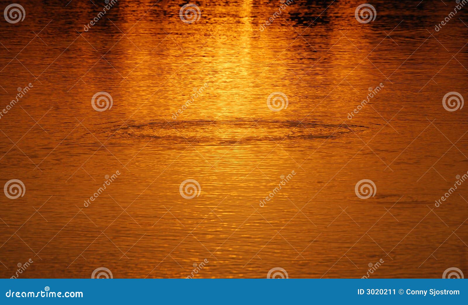 Ripples at sunset stock image. Image of calm, dusk, pond - 3020211