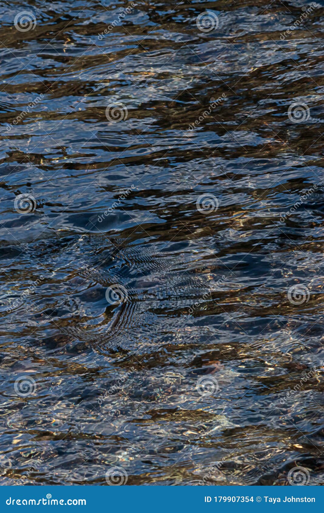 Ripples on Surface of Running Shallow River Stock Photo - Image of cold ...