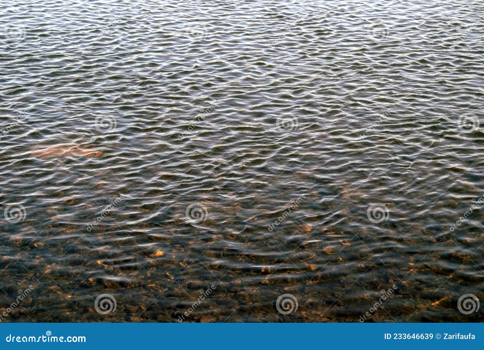 Ripples on Water, Calmness on River, View of Reservoir from the Shore ...