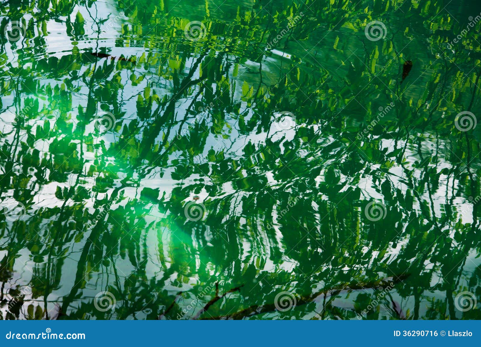 Ripples on water stock photo. Image of leaf, forest, ripples - 36290716
