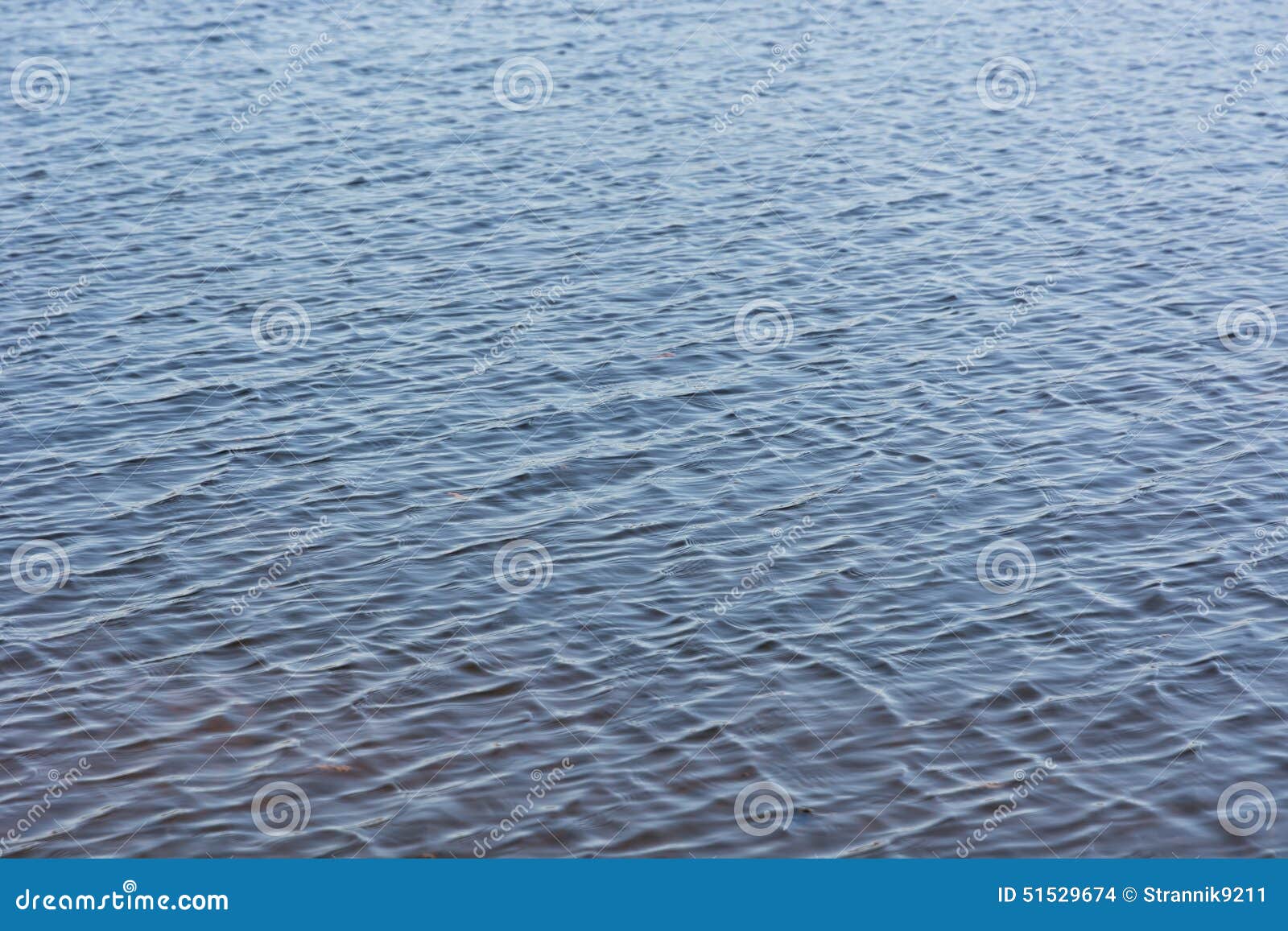 Ripples on the water. stock photo. Image of ripples, pattern - 51529674
