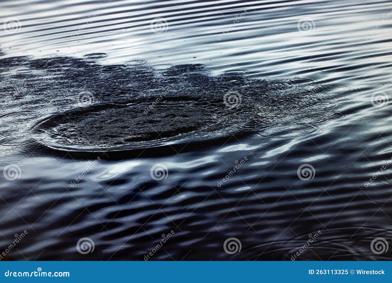 Ripples on water surface stock image. Image of outdoors - 263113325