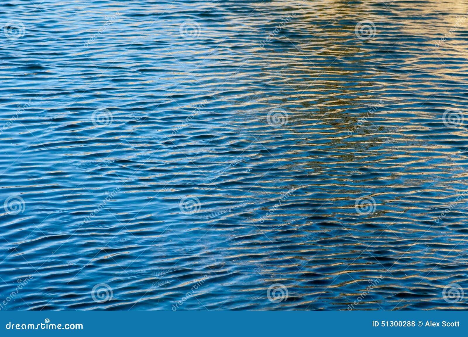 Ripples on water surface stock photo. Image of current - 51300288