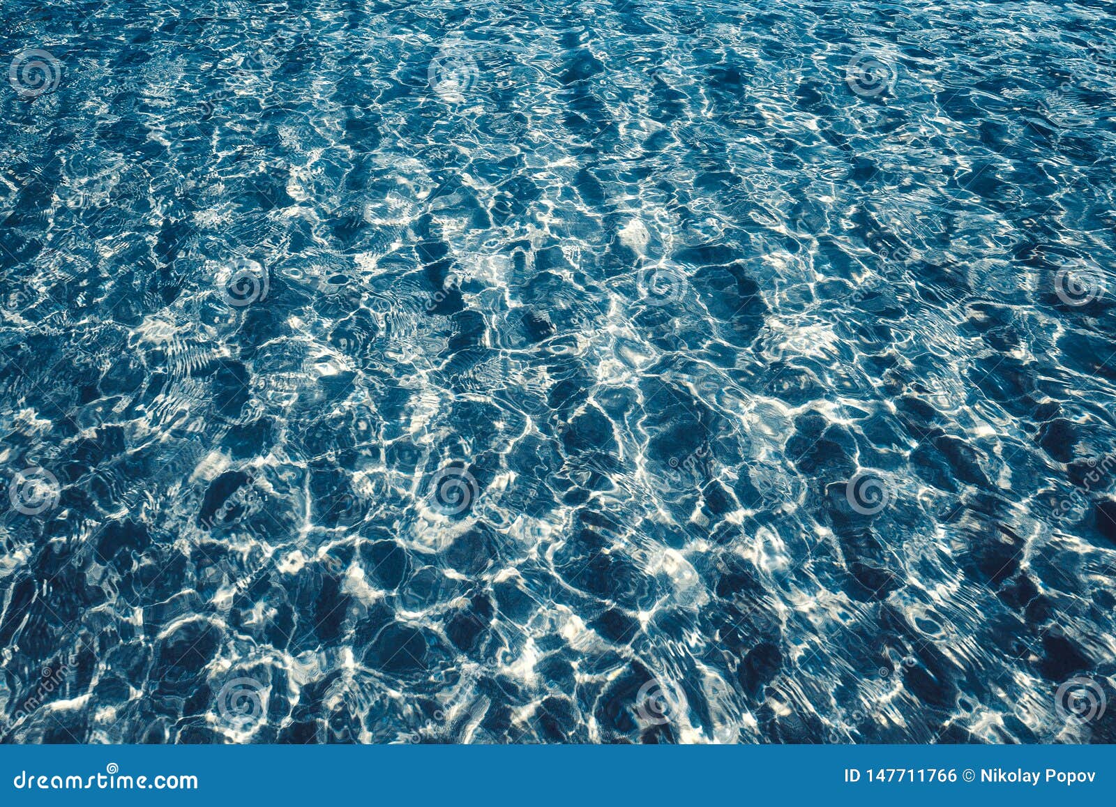 Ripples on the water stock photo. Image of sunlight - 147711766