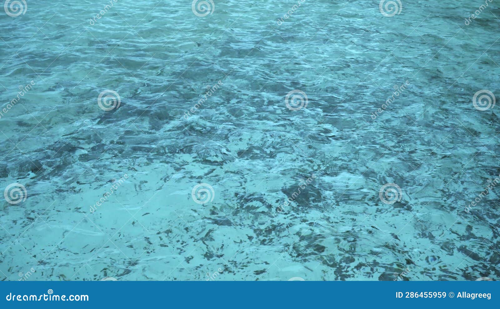 Ripples in the Water from the Wind. Swing and Waves. Breeze and Wave ...