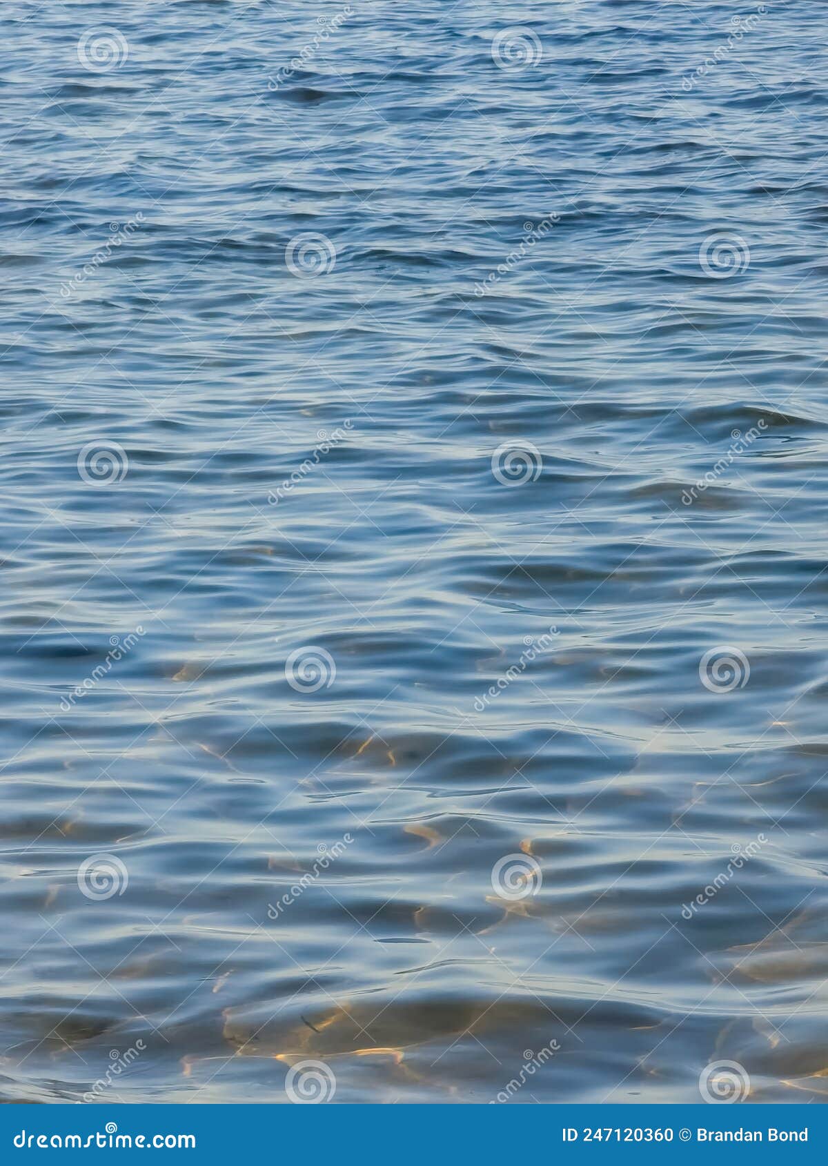 Ripples of the Waves stock photo. Image of vehicle, sand - 247120360