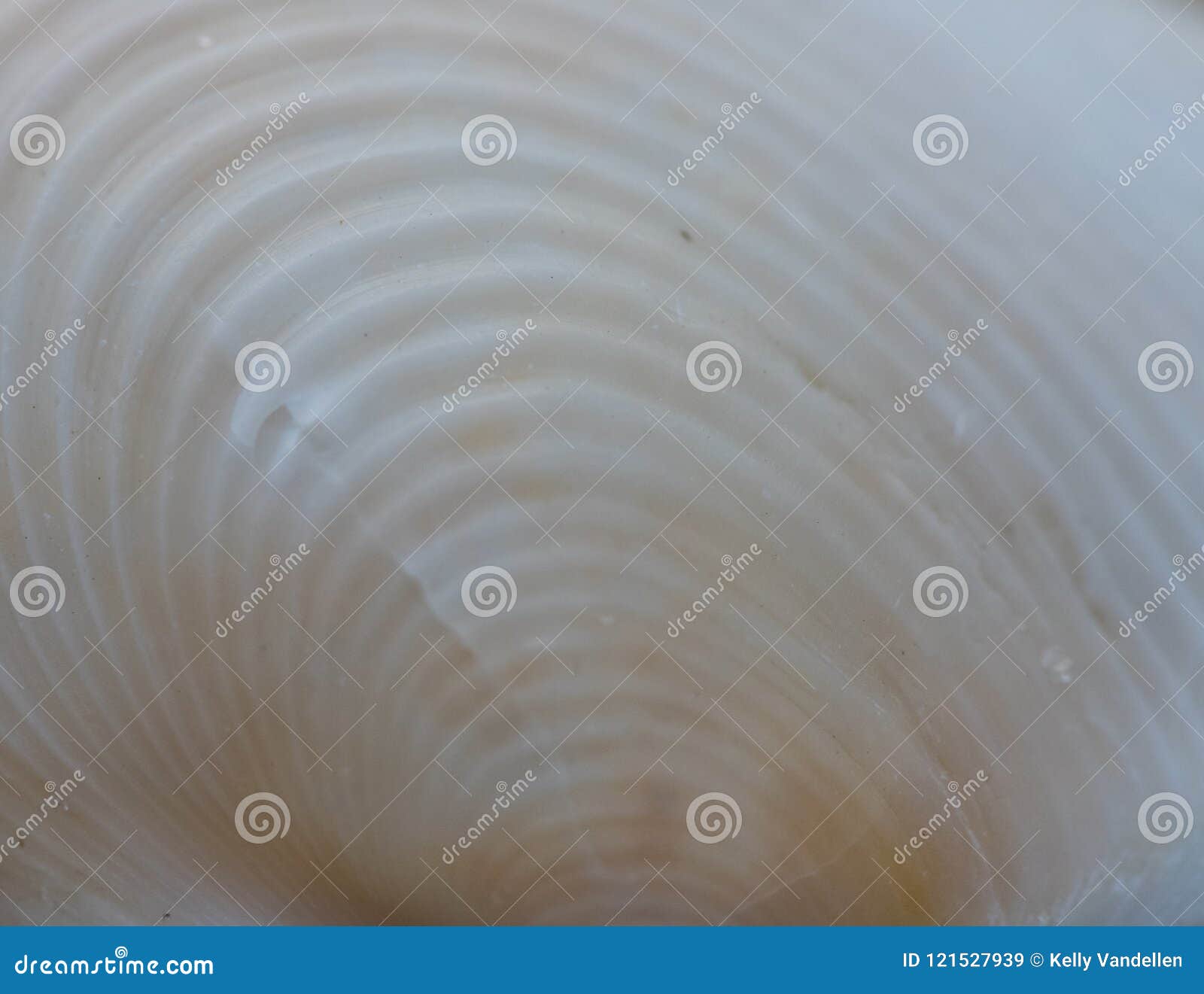 Ripples in White Shell stock image. Image of ripples - 121527939