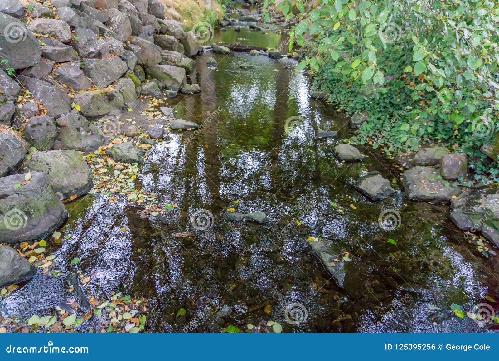 Rippling Stream Reflection stock photo. Image of outdoors - 125095256