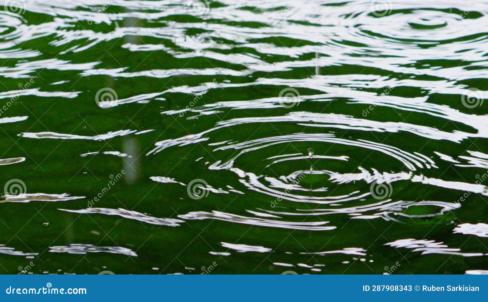 Rippling Water Surface in Close-up View Stock Video - Video of tree ...