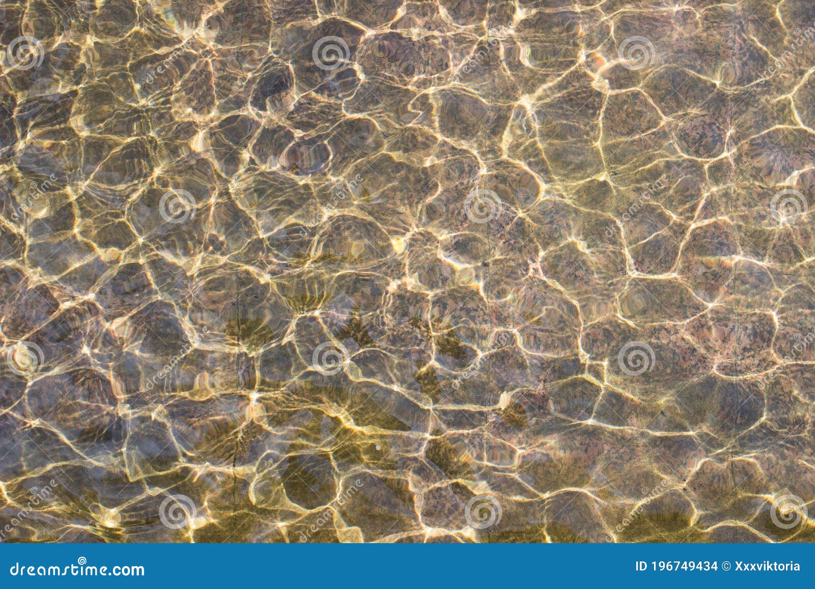 Rippling Water Surface with Sun Glare. the Glare from the Sun on the ...