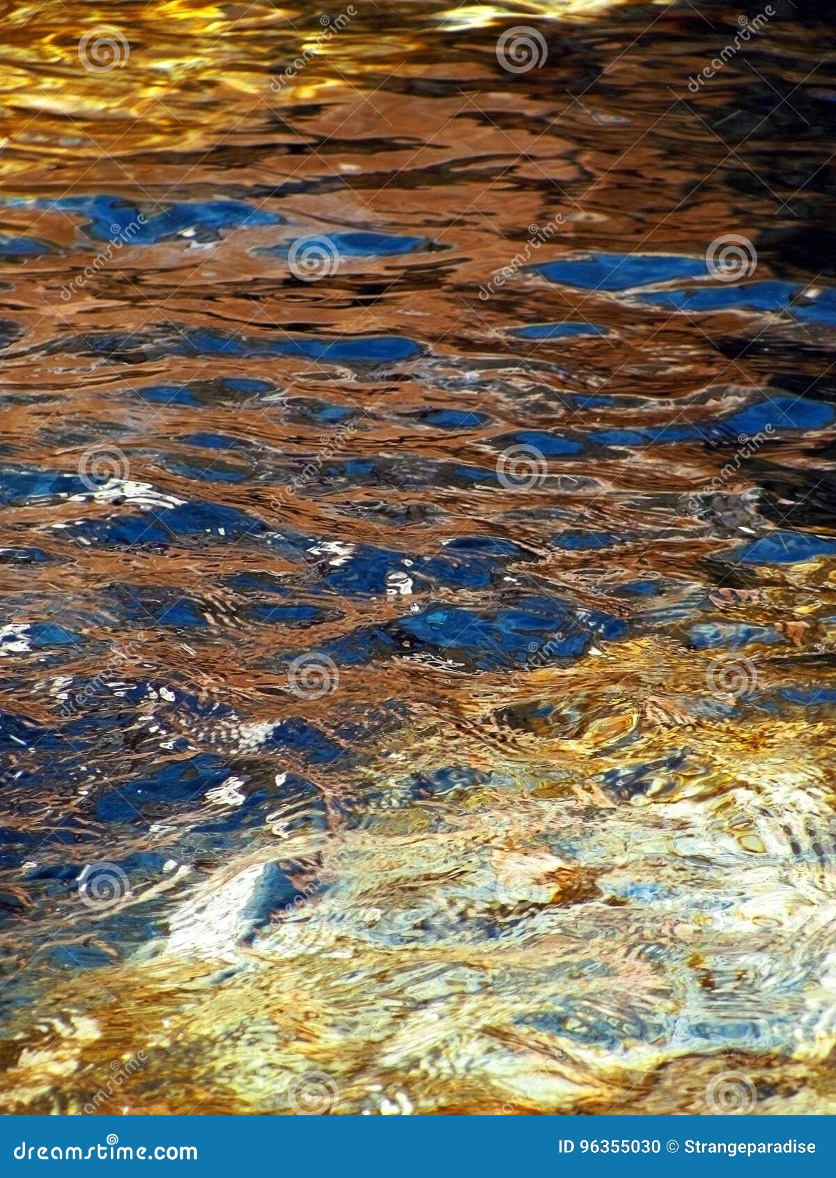 Rippling Water Surface Texture with Golden Sunlight Reflections Stock ...