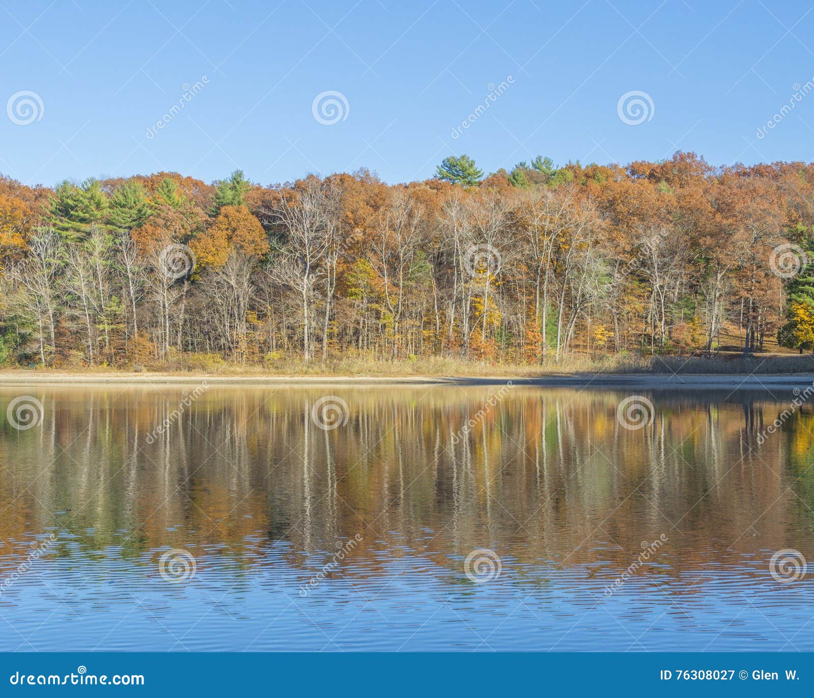 Ripply Reflection of Autumn Scenery Stock Image - Image of blue, ripply ...