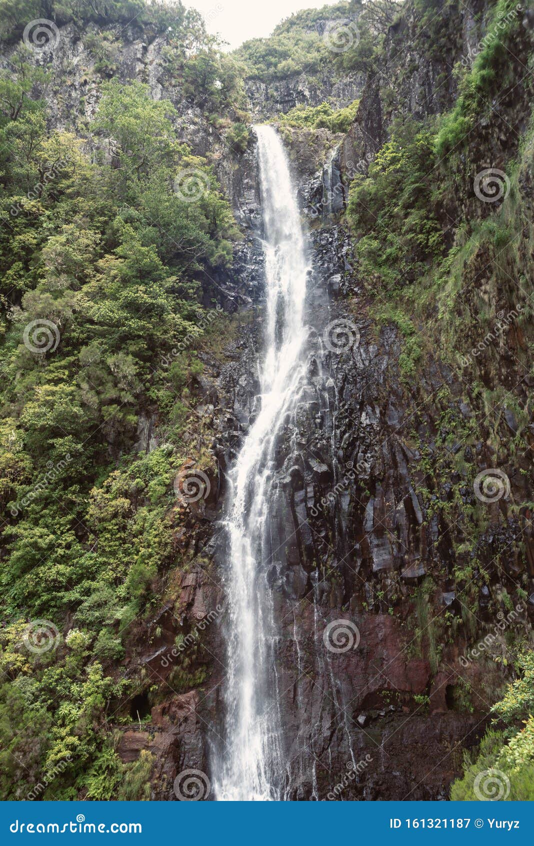 Risco waterfall at Madeira stock image. Image of river - 161321187