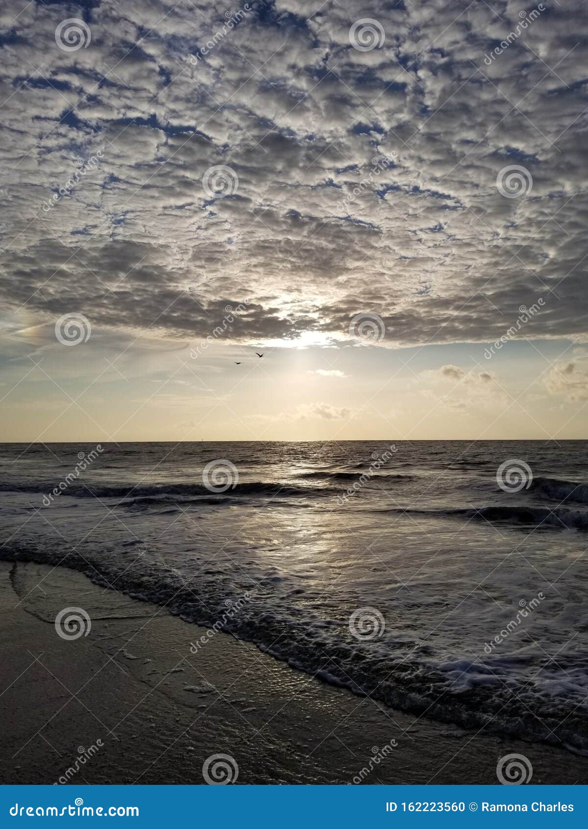 Rise stock photo. Image of sunrise, rise, beach, water - 162223560