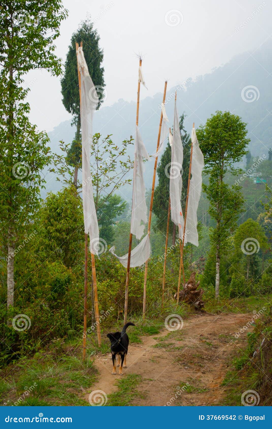 Rishap- Nature tourism editorial photography. Image of rest - 37669542