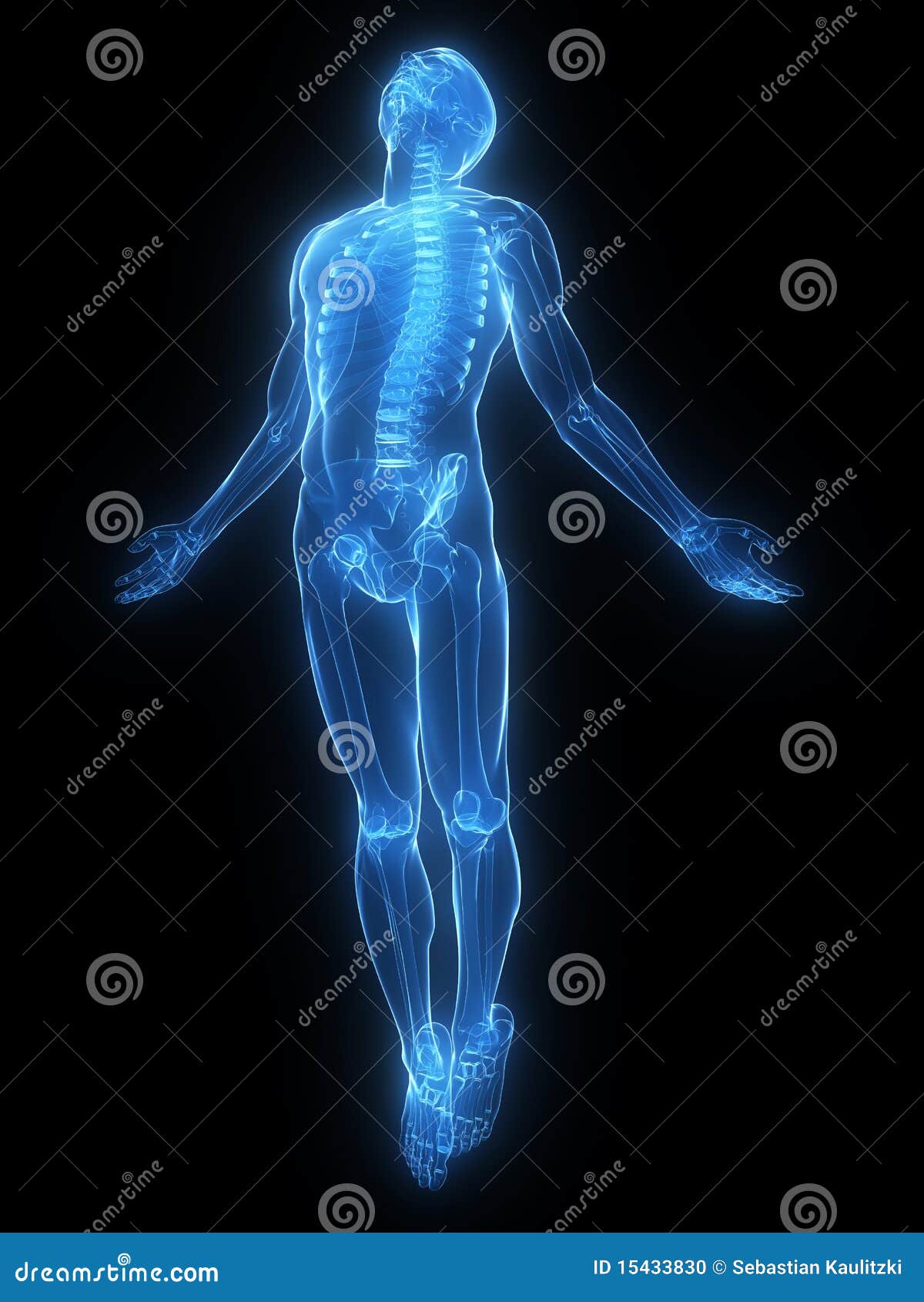 Rising body - x-ray stock illustration. Illustration of spine - 15433830