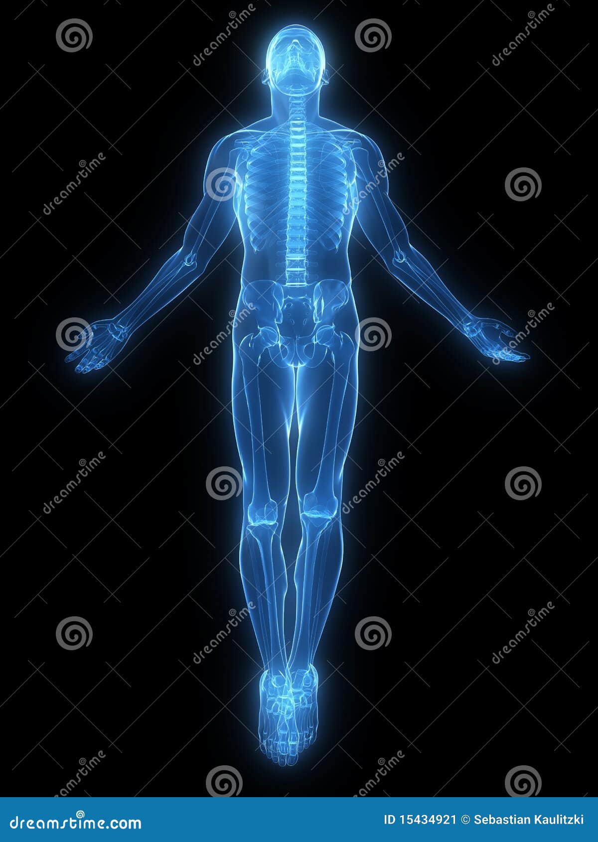 Rising body - x-ray stock illustration. Illustration of skull - 15434921