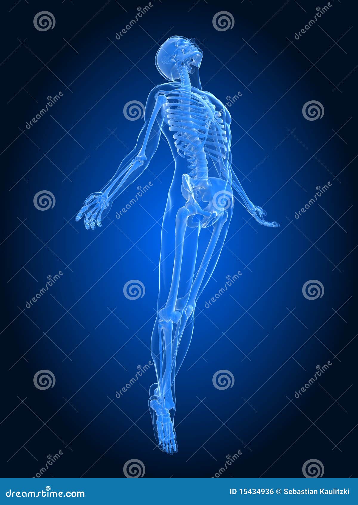 Rising body - x-ray stock illustration. Illustration of skull - 15434936