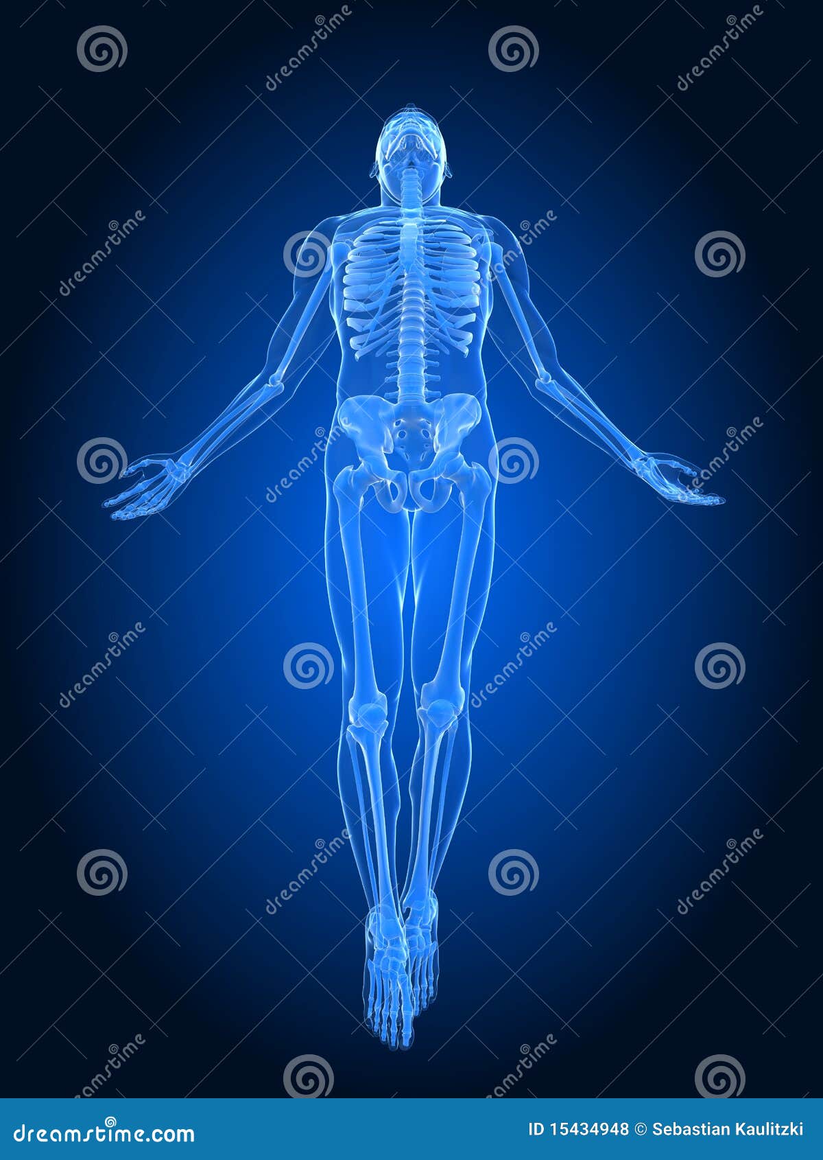 Rising body - x-ray stock illustration. Illustration of skull - 15434948