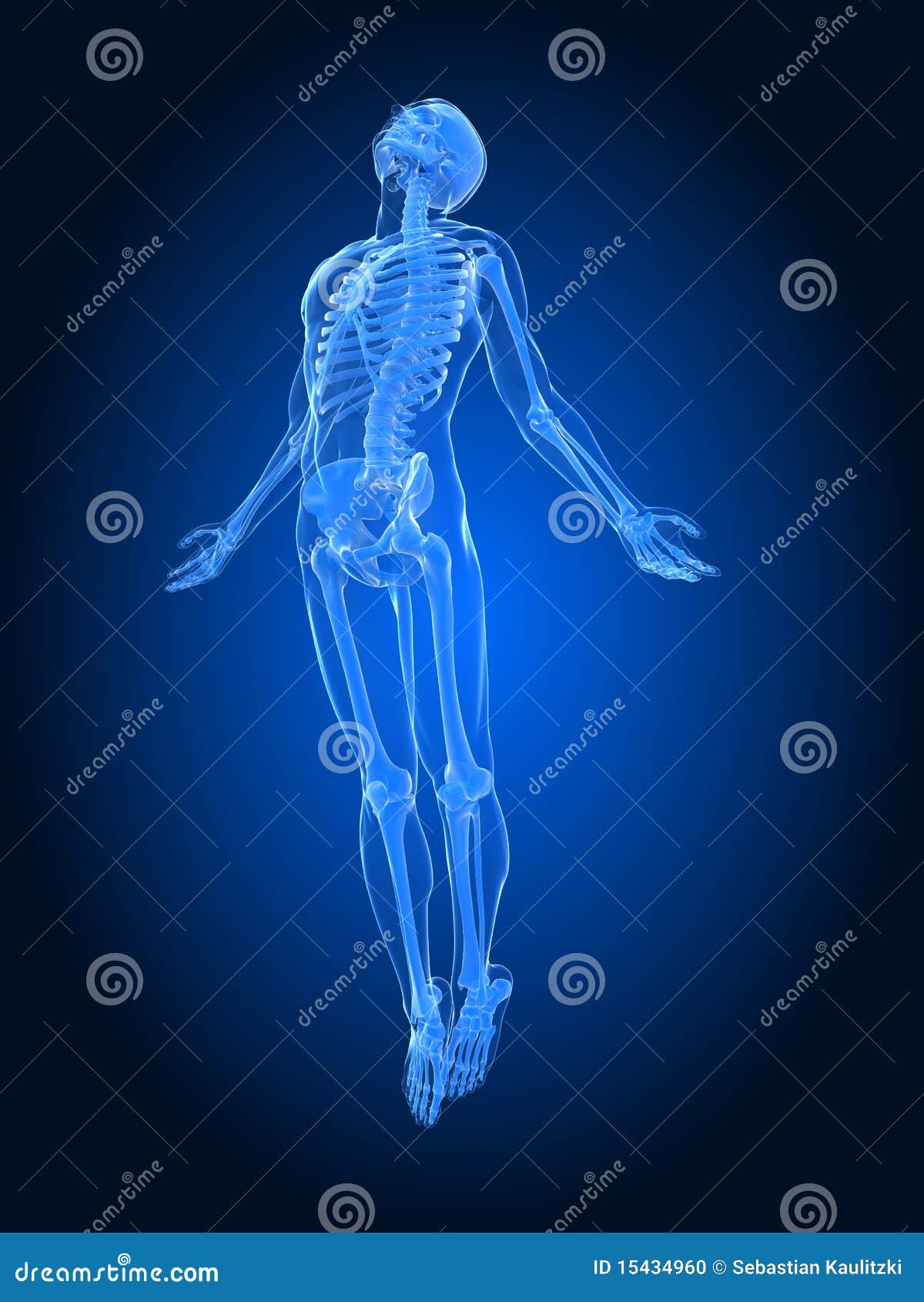 Rising body - x-ray stock illustration. Illustration of spread - 15434960