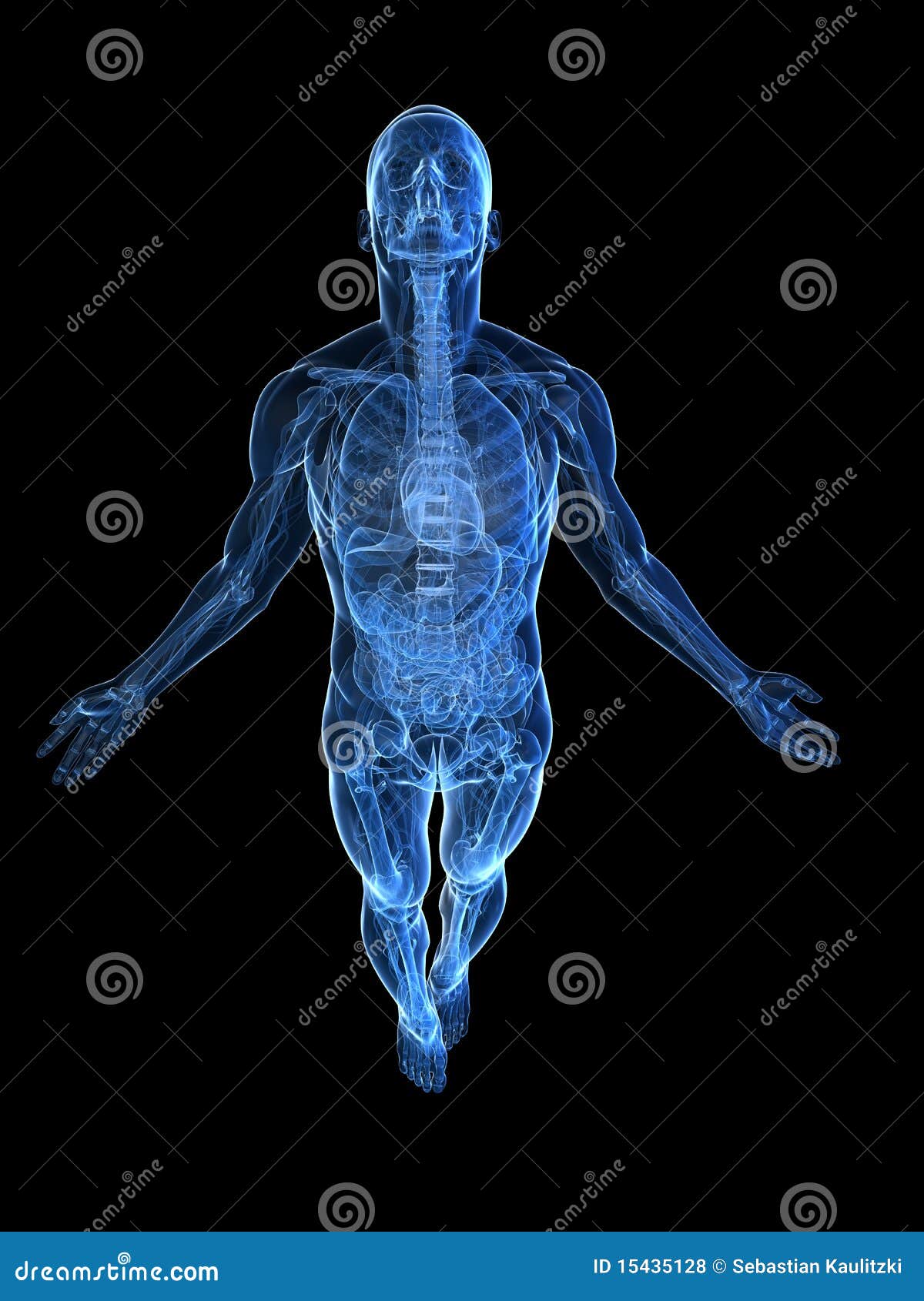 Rising body - x-ray stock illustration. Illustration of skull - 15435128