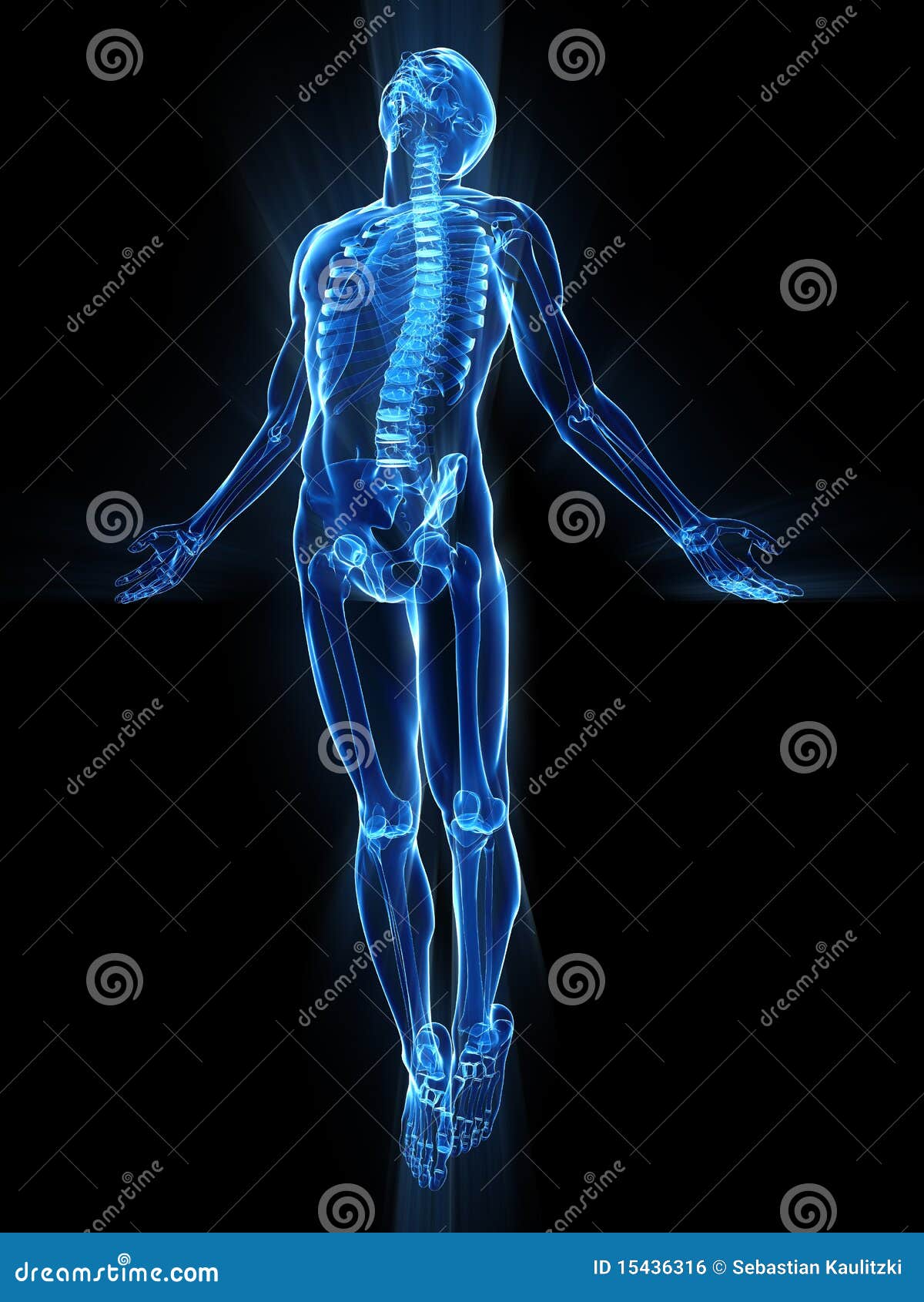Rising body - x-ray stock illustration. Illustration of science - 15436316