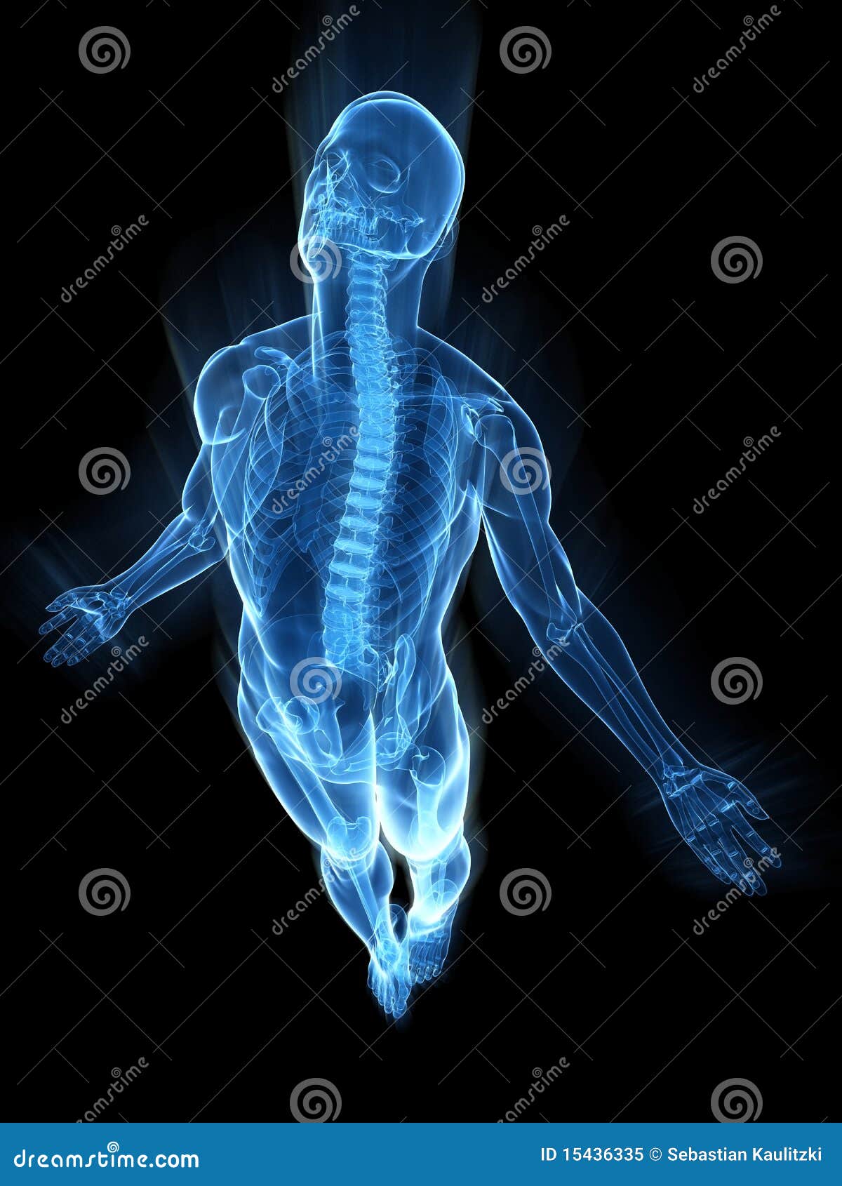 Rising body - x-ray stock illustration. Illustration of human - 15436335