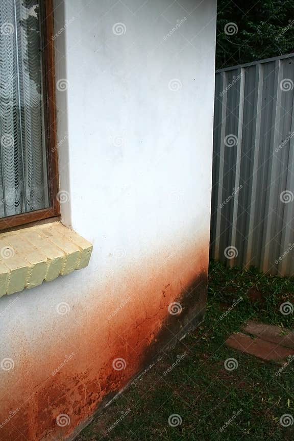 Rising Damp Outside Wall stock image. Image of grass, white - 653145