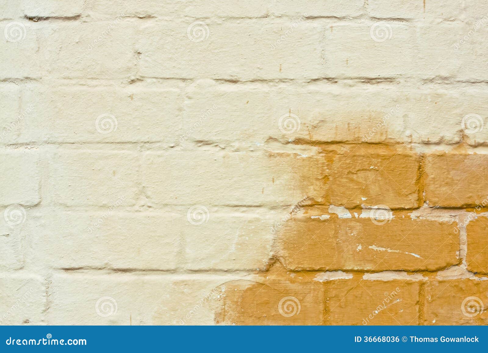 Damp Patch Wall - skycr