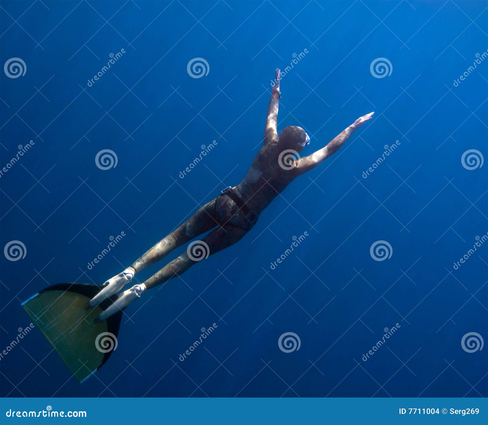 Rising freediver stock photo. Image of saltwater, sport - 7711004