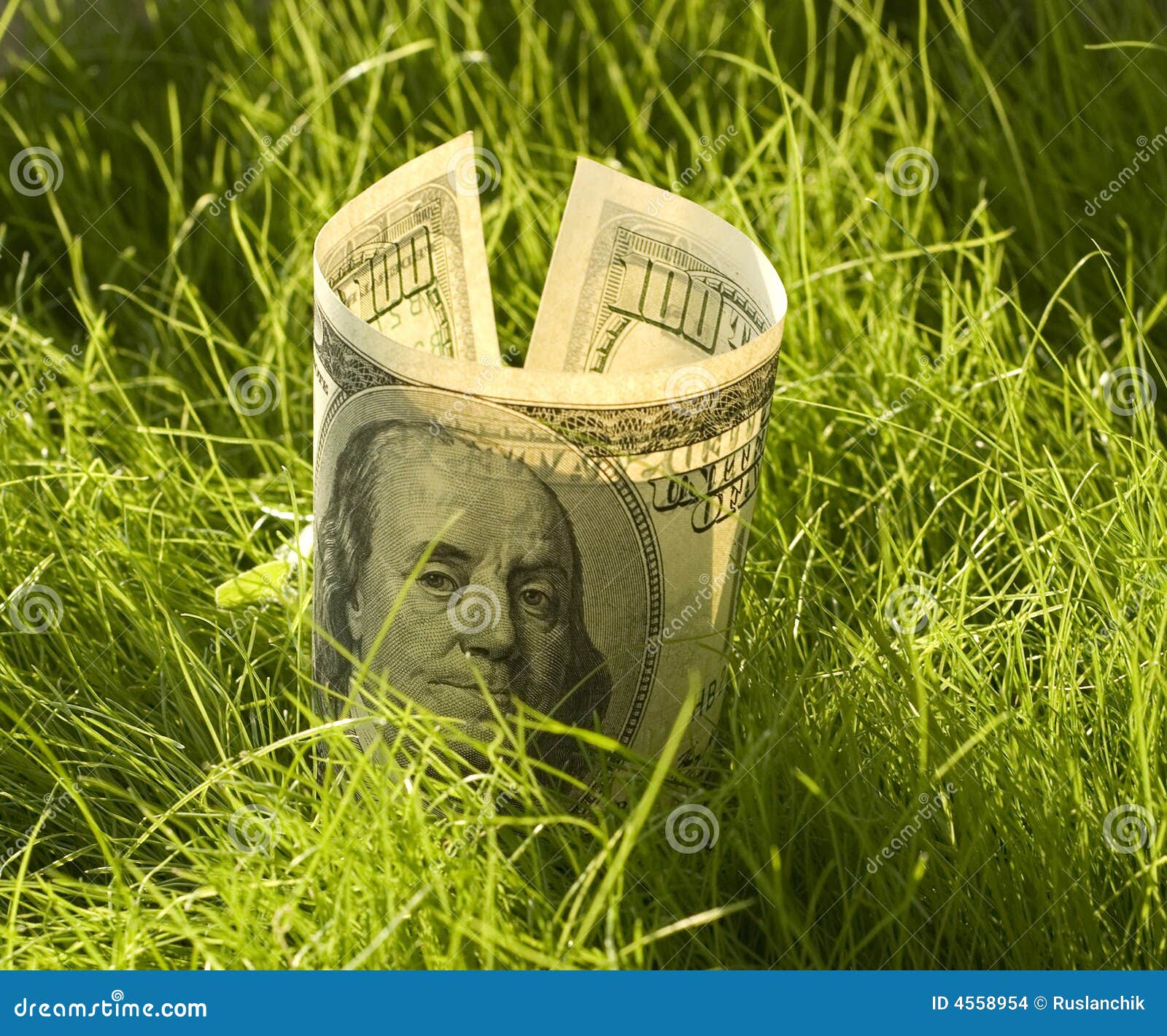 Rising money stock photo. Image of spring, concept, dollar - 4558954