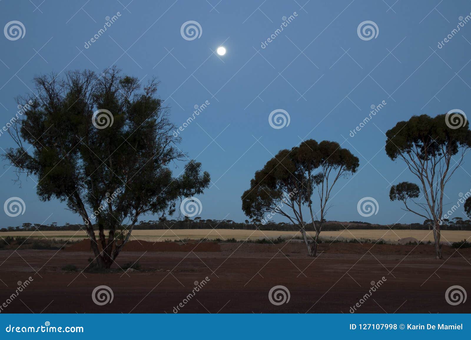 Rising Moon Over Wheat Fields Stock Photo - Image of glow, natural ...