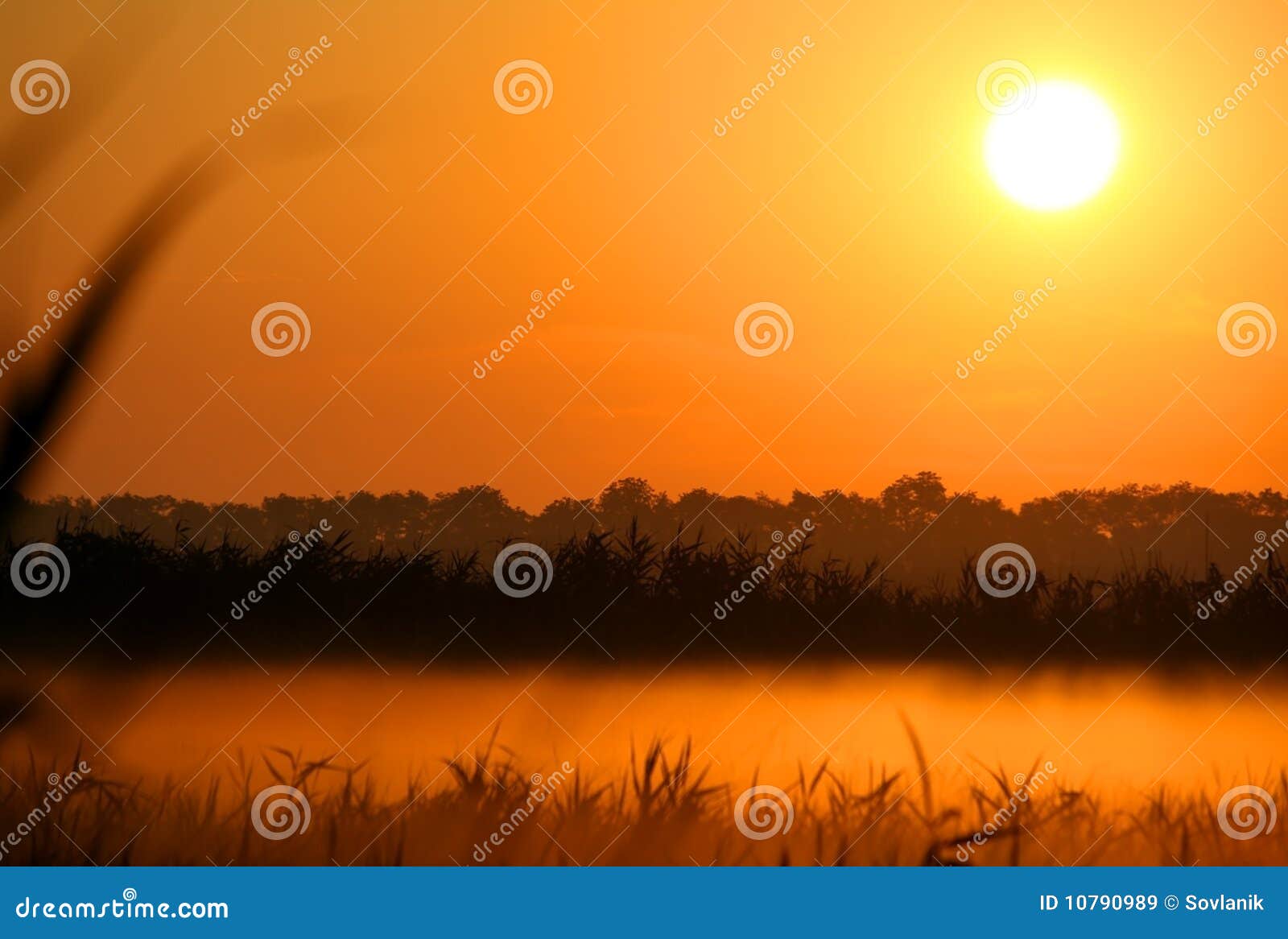 Rising Sun in the Early Morning Stock Image - Image of beauty, wood ...