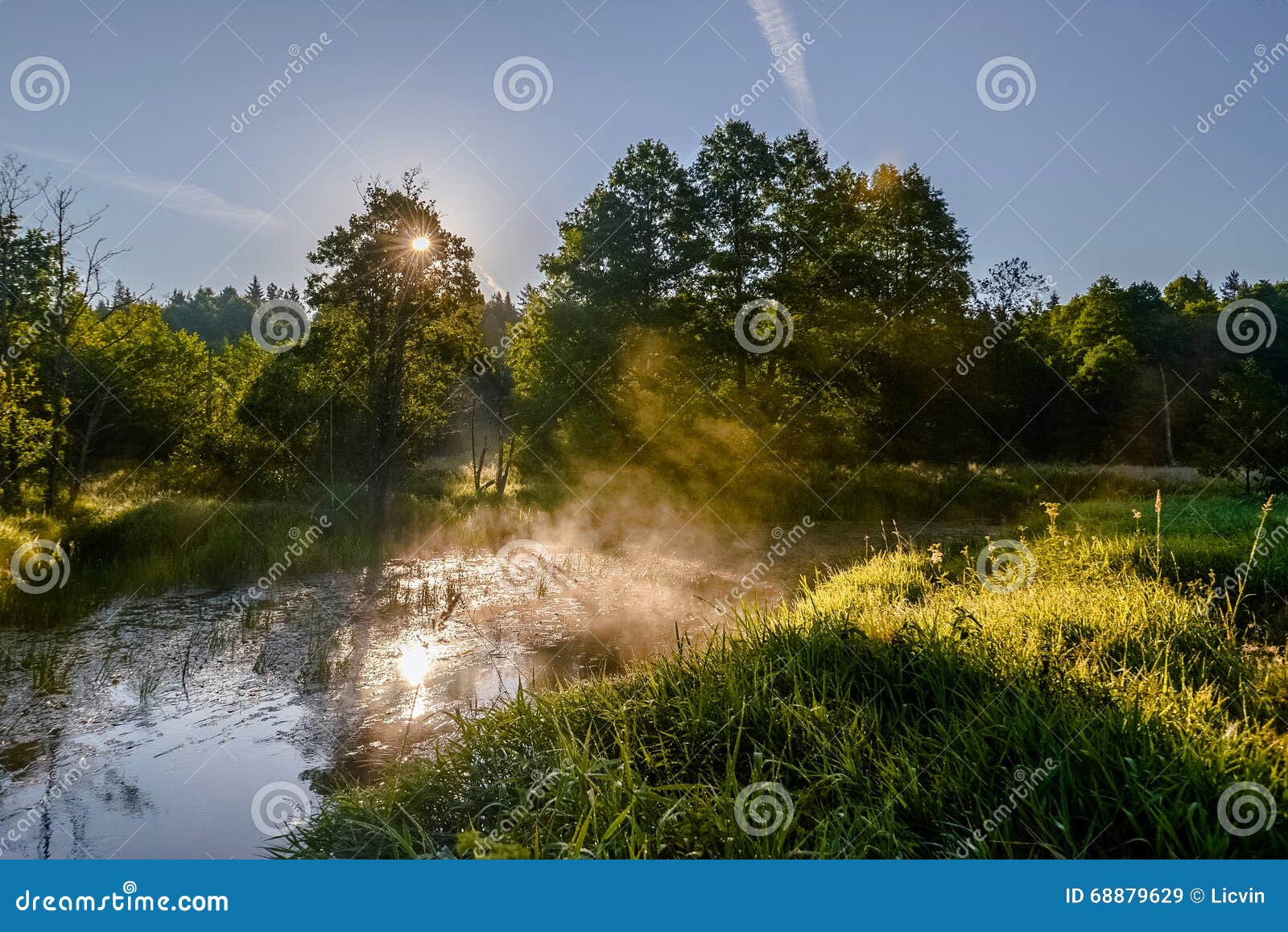 The Rising Sun Over the Forest and the River Stock Image - Image of ...
