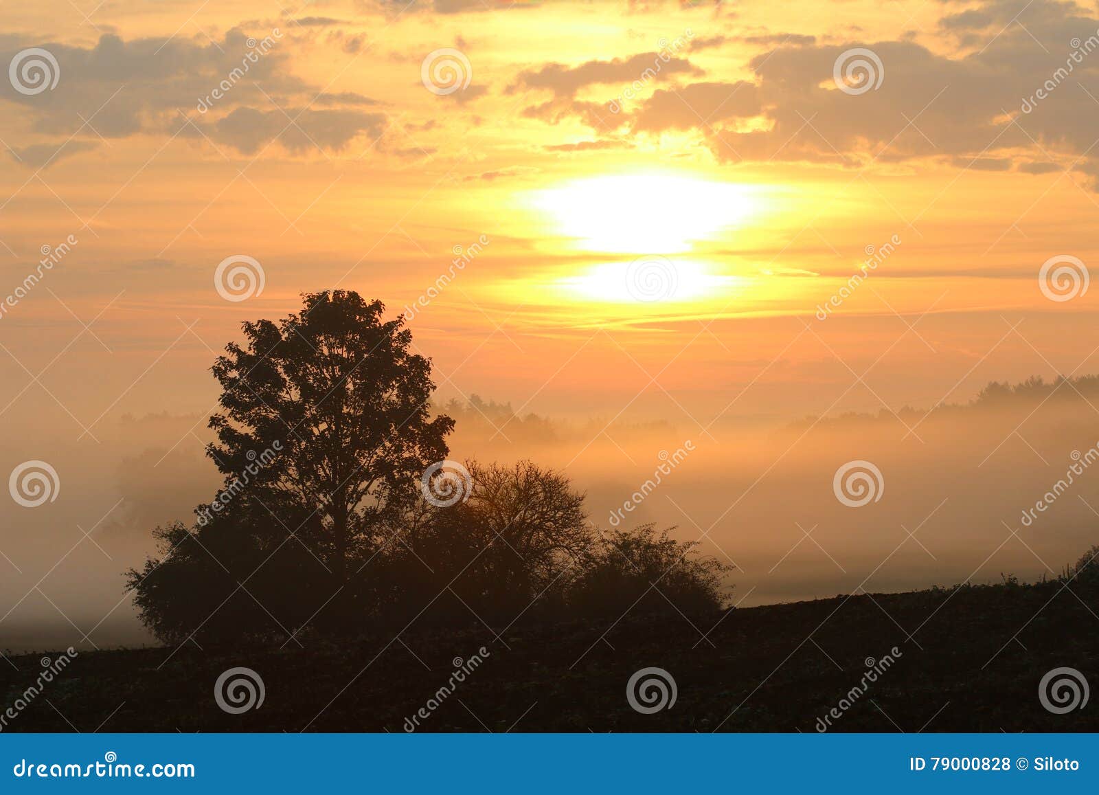Rising Sun Over Rural Countryside Stock Photo - Image of dawn, early ...