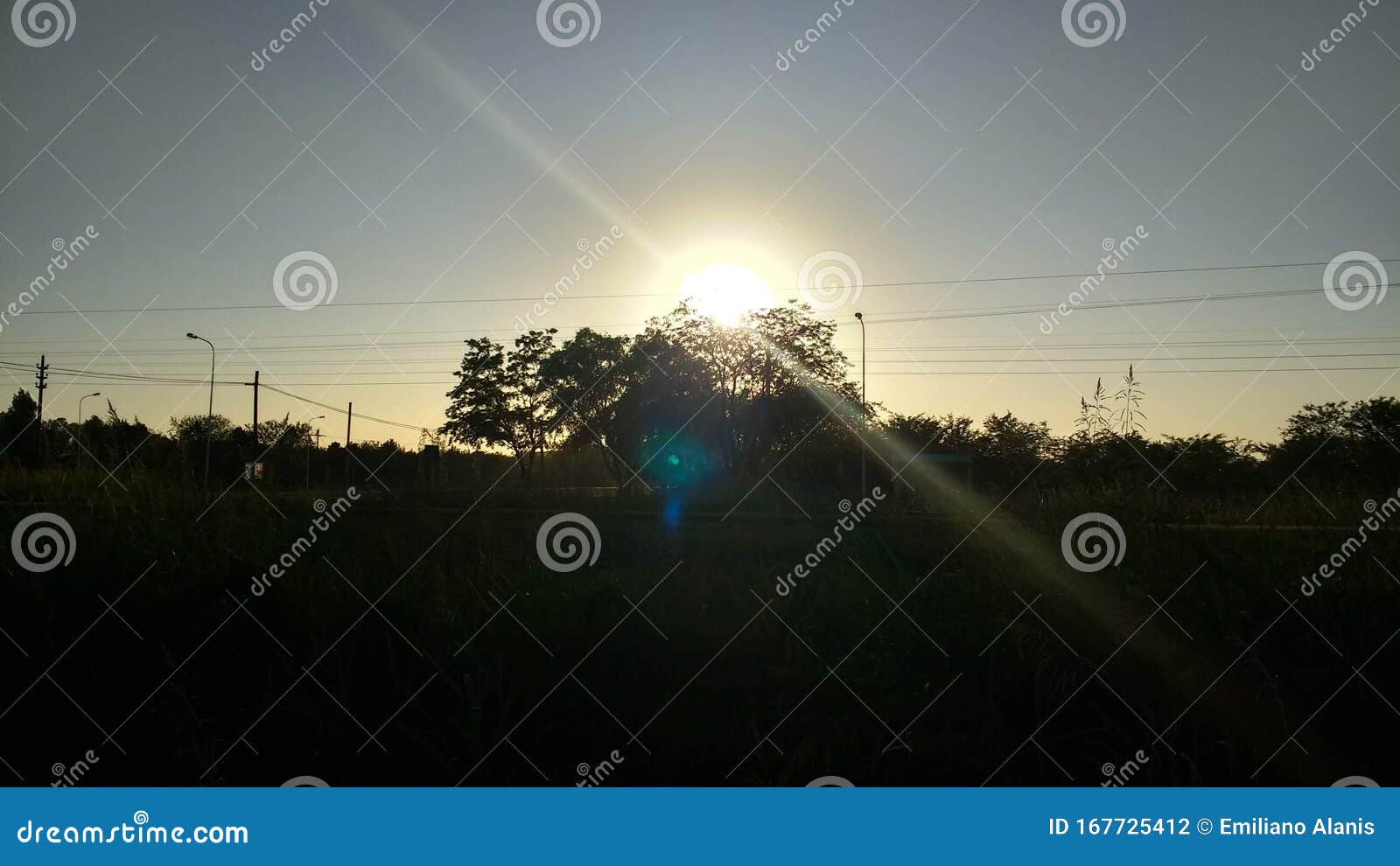 Rising sun in the road stock photo. Image of rising - 167725412