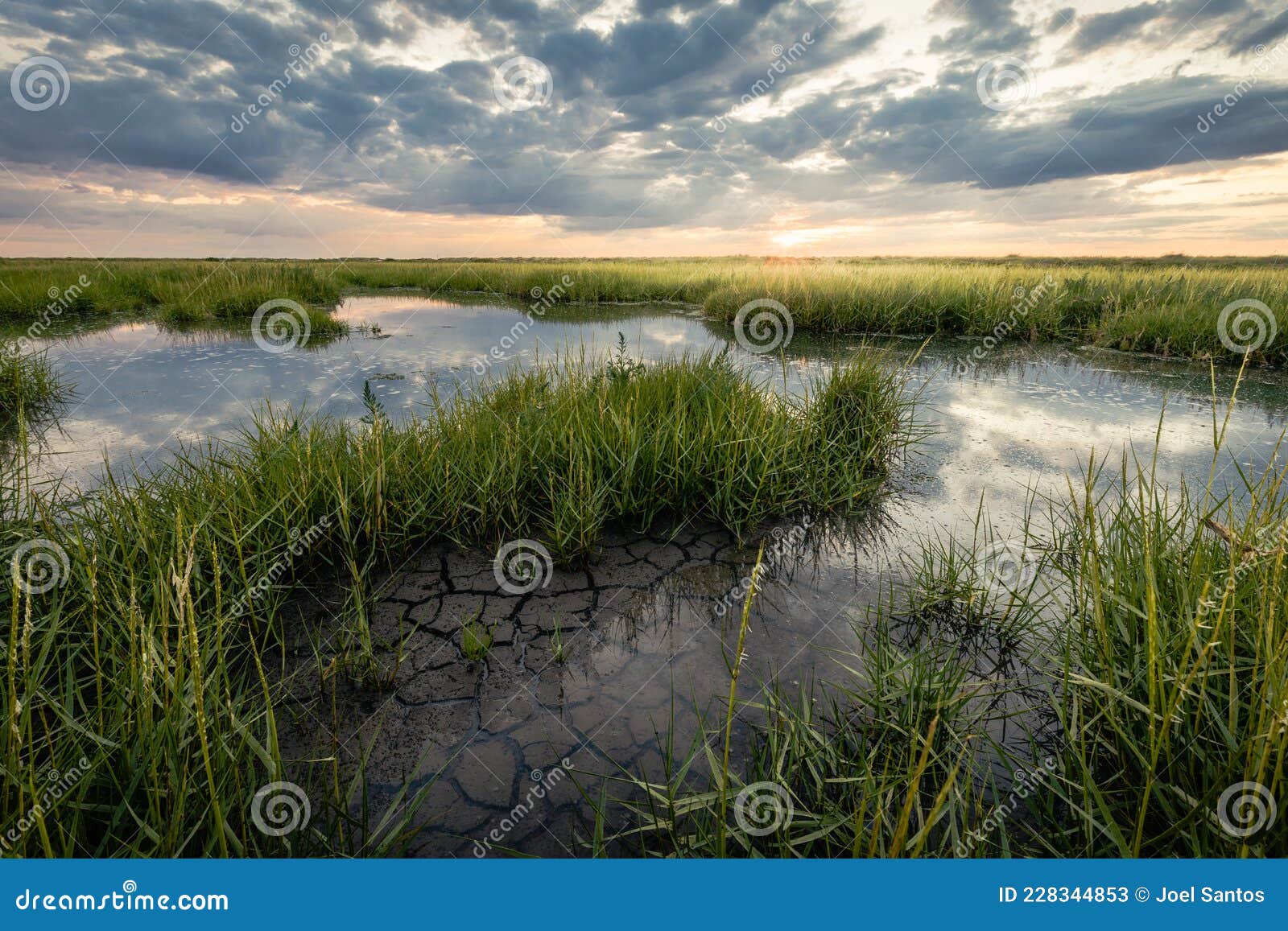 Rising Tide in Grassy Marsh with Dried Soil Textures Stock Image ...