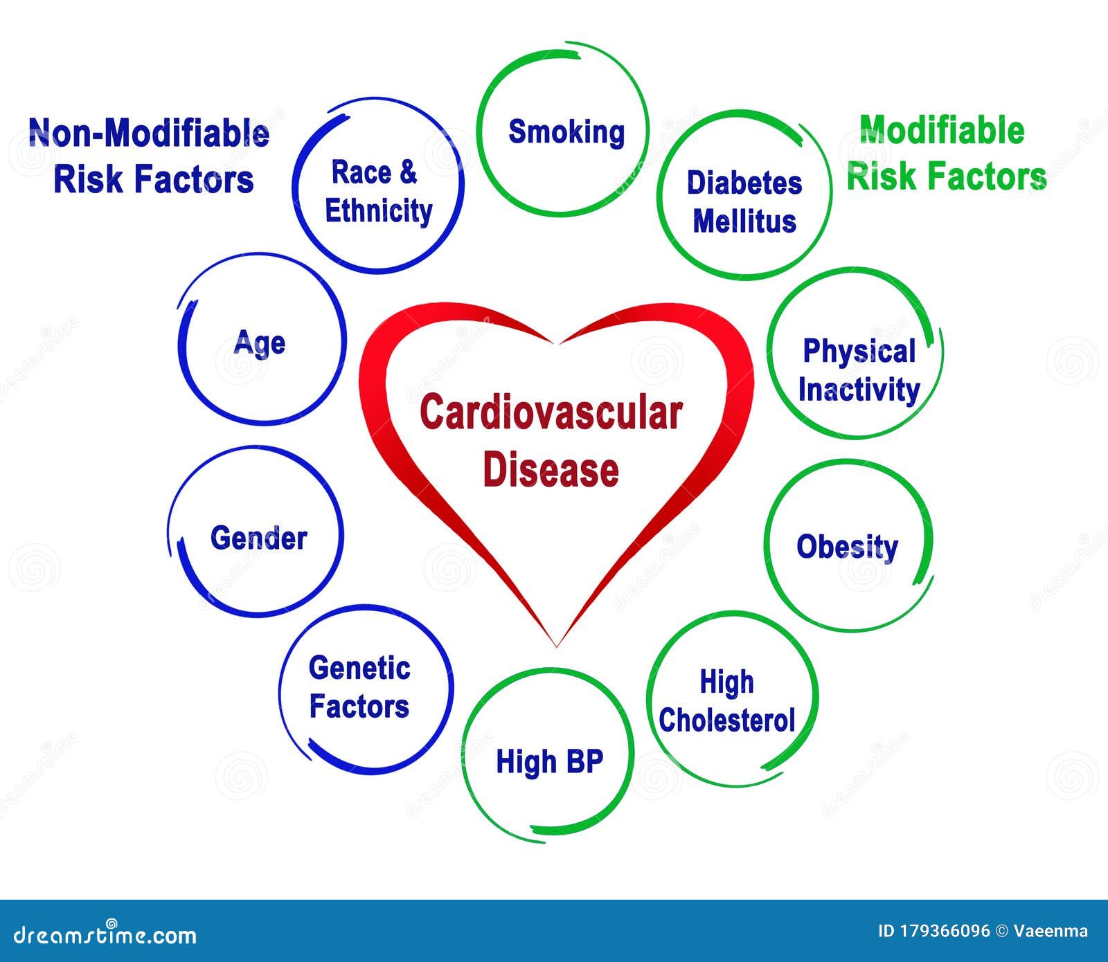 Cardiovascular Factors Risk Stock Illustrations – 111 Cardiovascular ...